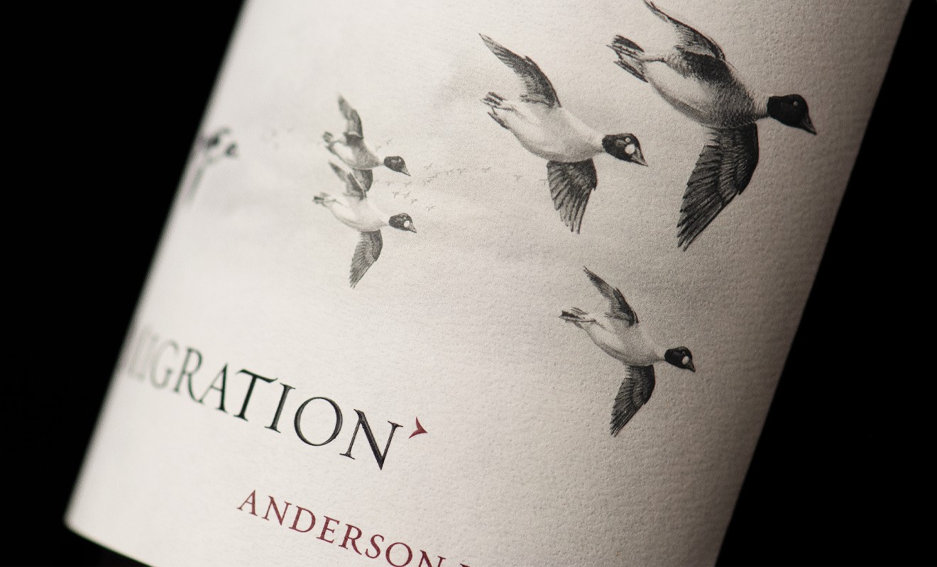 Migration Wine Design | CF Napa Brand Design