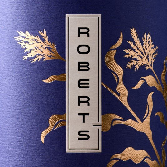 Branding Strategy & Design Work | CF Napa Brand Design